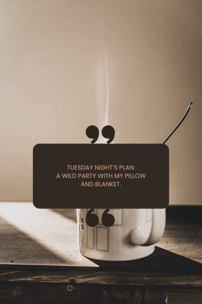 195 Funny Tuesday Quotes to Turn Your Crappy Day Around