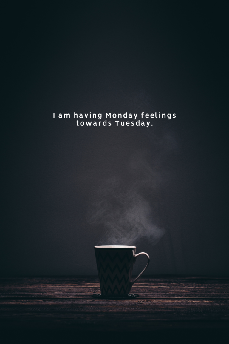 195 Funny Tuesday Quotes to Turn Your Crappy Day Around