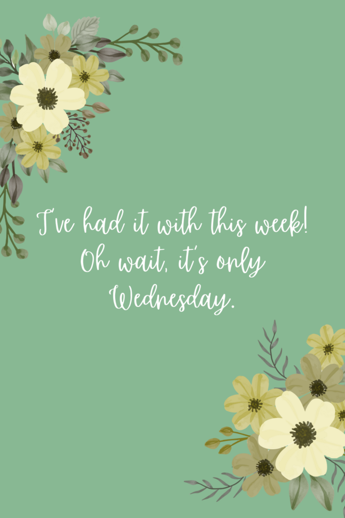 190 Funny Wednesday Quotes to Make Hump Day Actually Fun