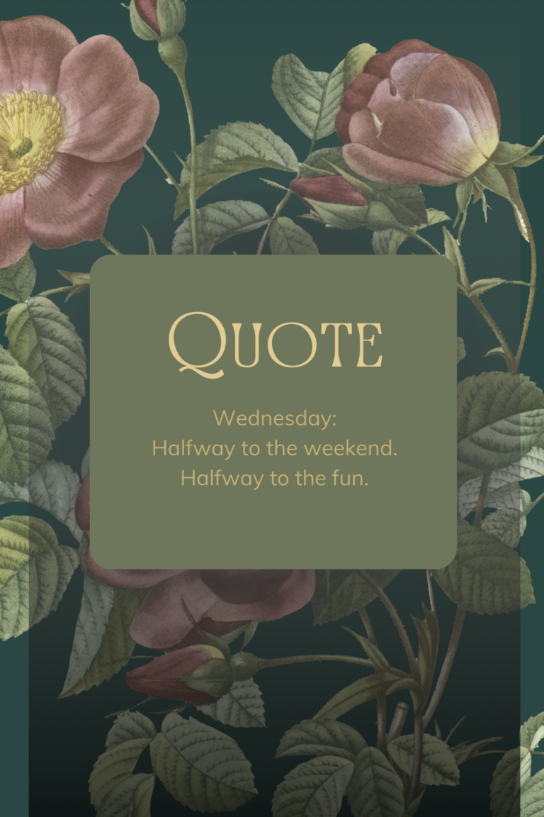 190 Funny Wednesday Quotes to Make Hump Day Actually Fun