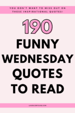 190 Funny Wednesday Quotes to Make Hump Day Actually Fun